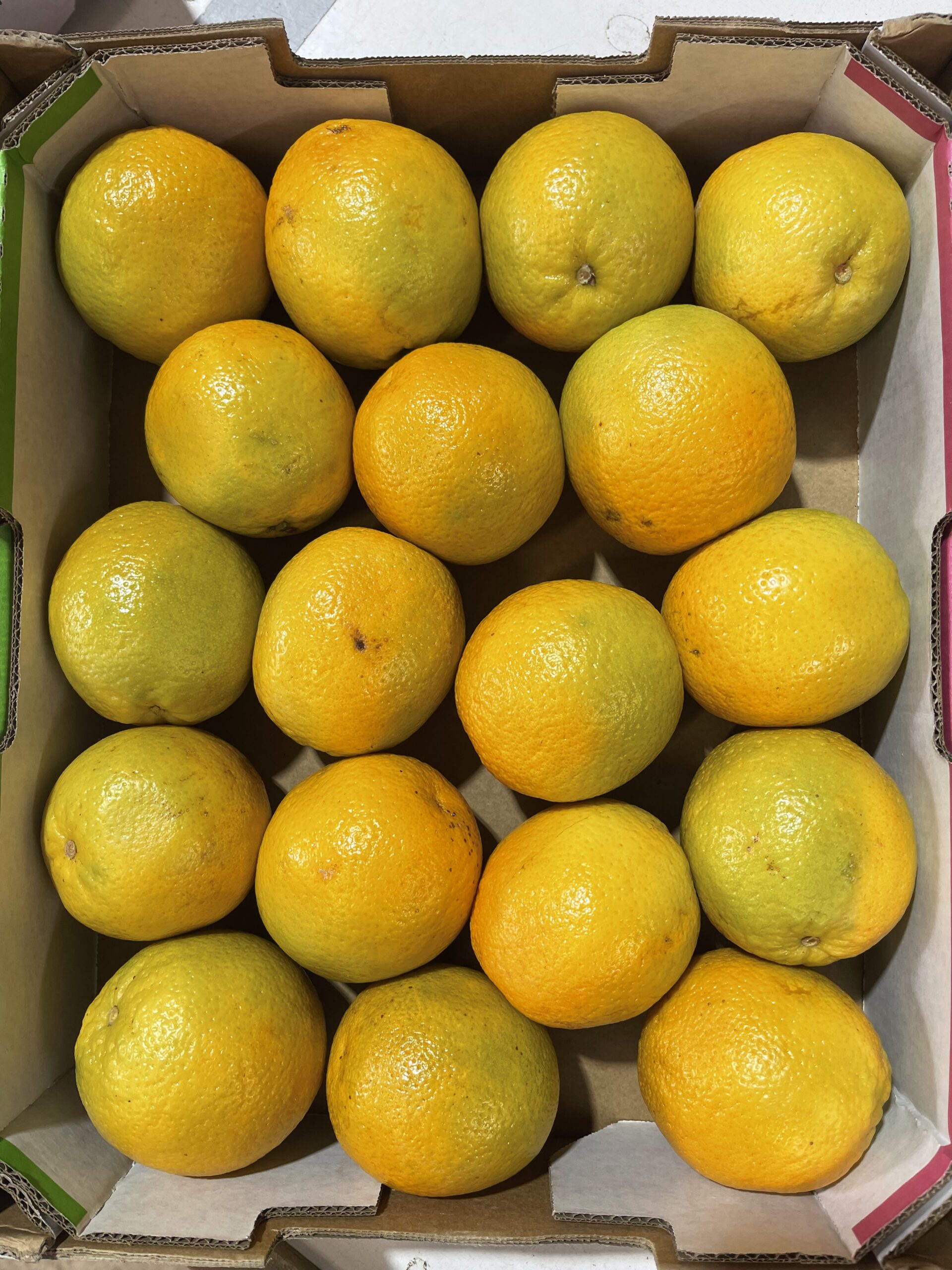 Buy fresh fruits and vegetables at online home delivery service ...